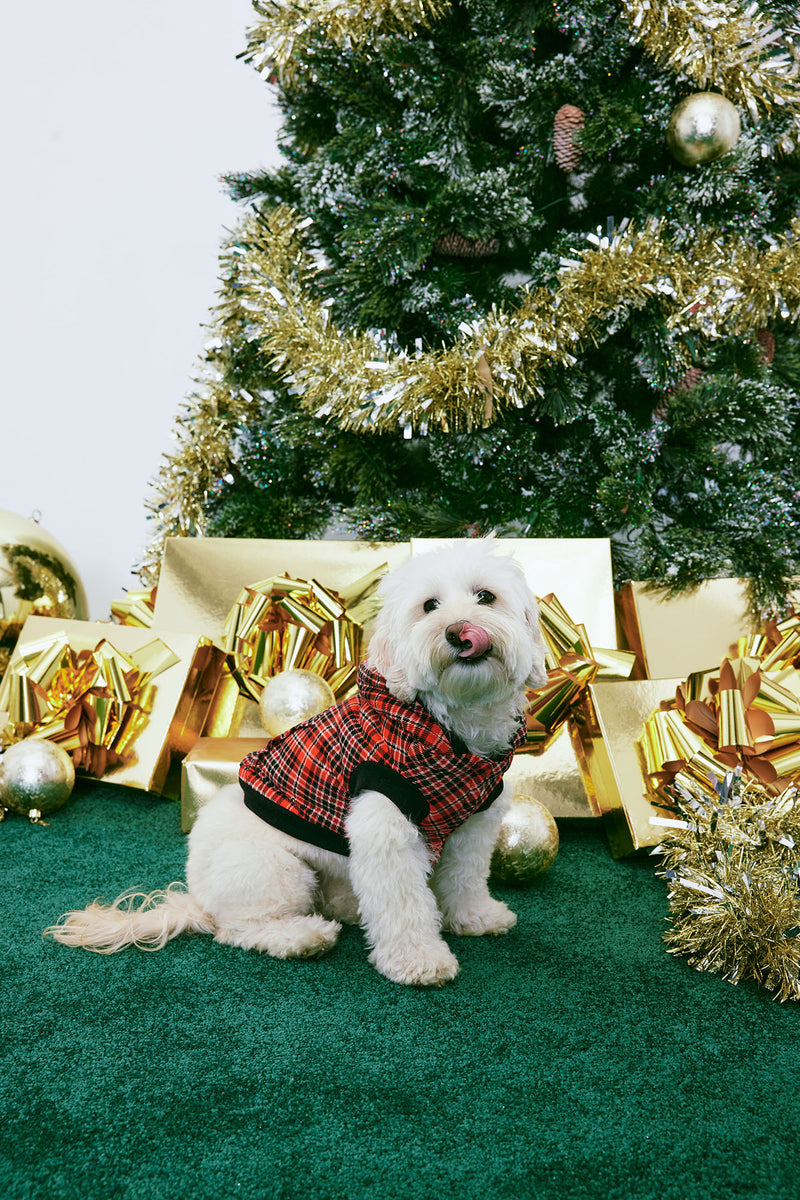 Pup Festive AF Dog Hoodie - Black/Red | Fashion Nova, Costumes ...