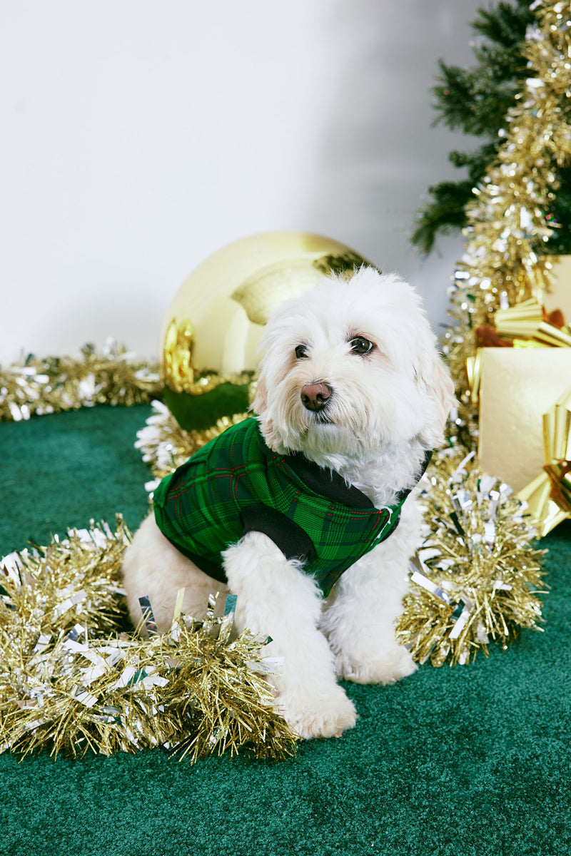 Pup Fa La La Dog Hoodie - Black/Green | Fashion Nova, Costumes ...