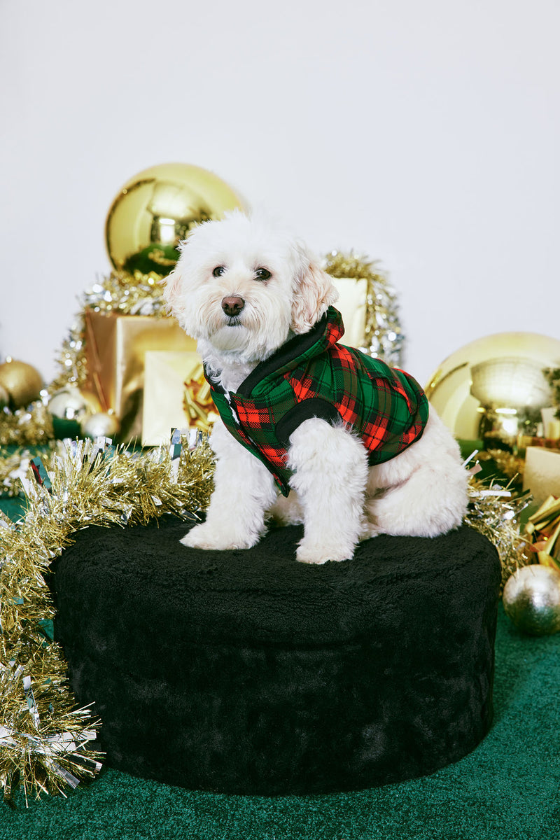 Pup Nice Until Naughty Dog Hoodie - Green/combo | Fashion Nova ...