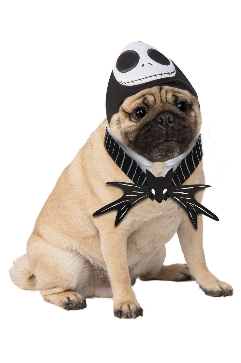 Pup Jack Skellington Disney Dog Costume - Black/White | Fashion Nova ...