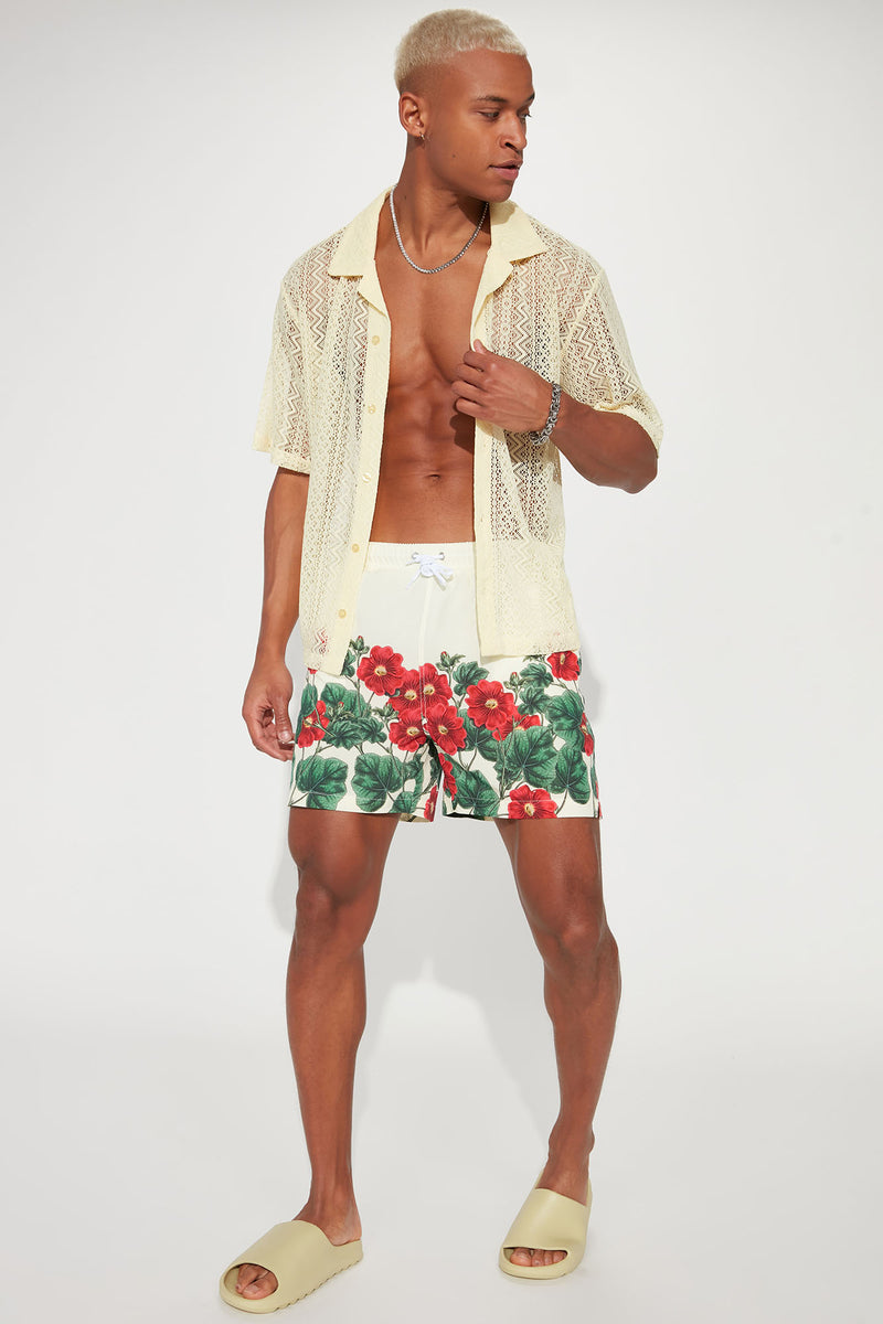 Wavelength Short Sleeve Knit Button Up - Cream | Fashion Nova, Mens ...