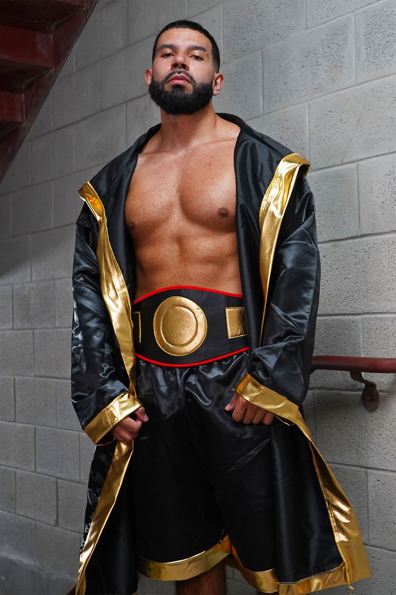 Boxer Costume | ppgbbe.intranet.biologia.ufrj.br